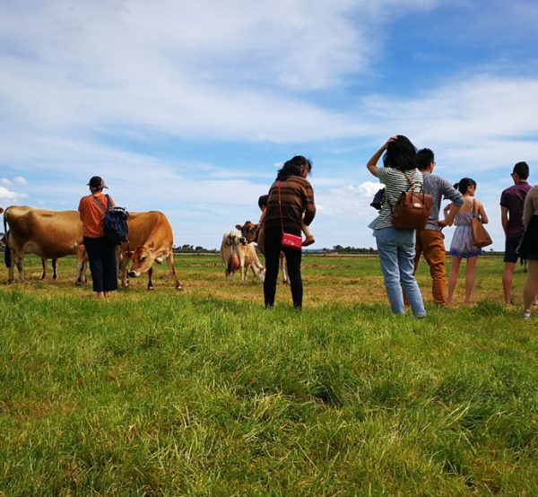 Tours | Caldermeade Farm