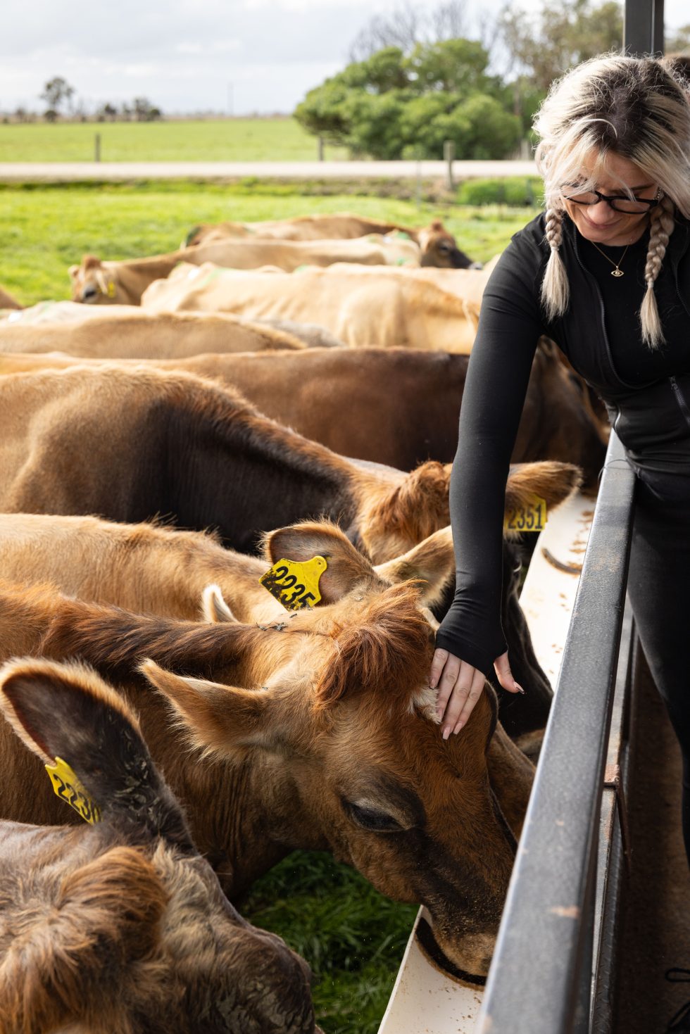 Tours | Caldermeade Farm