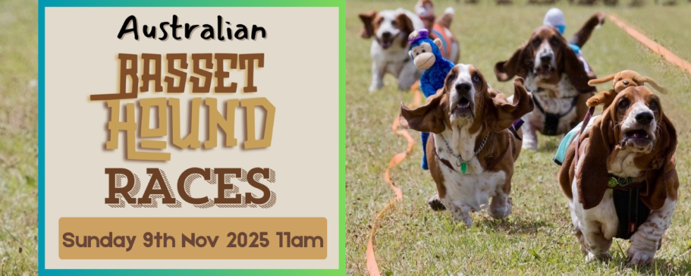 Sunday 9th November 2025 – Australian Basset Hound Races | Caldermeade Farm